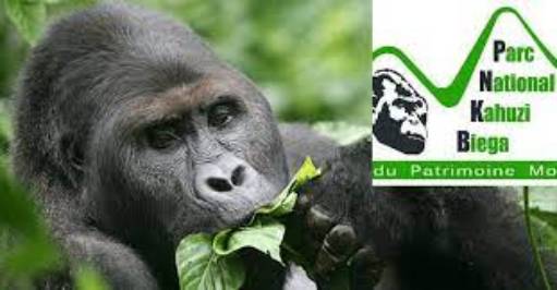 La possibilité d’expropriation de certaines concessions privées autour ...